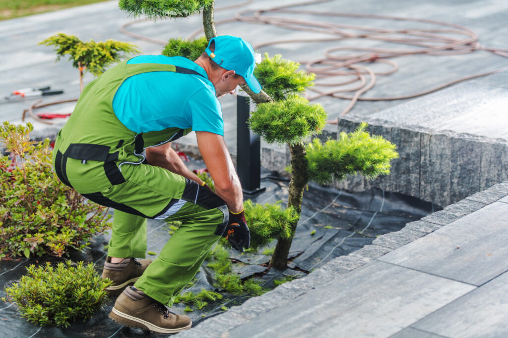 ISO Certifications for Landscape Design in the U.S.: Applicable ISO ...